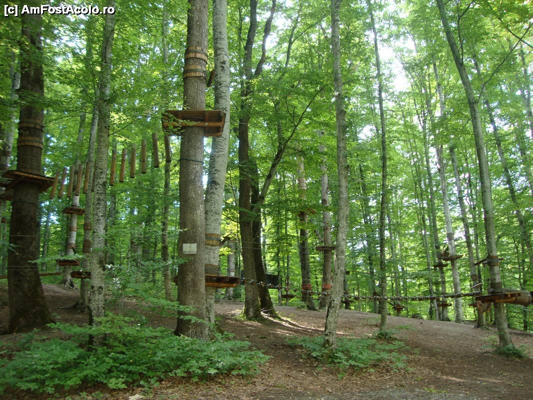 Cazare Sovata - Vila Silvia **** - vilasilvia.ro